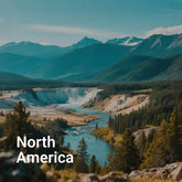 TSIM | International SIM Card and eSIM plans – TSim Tech